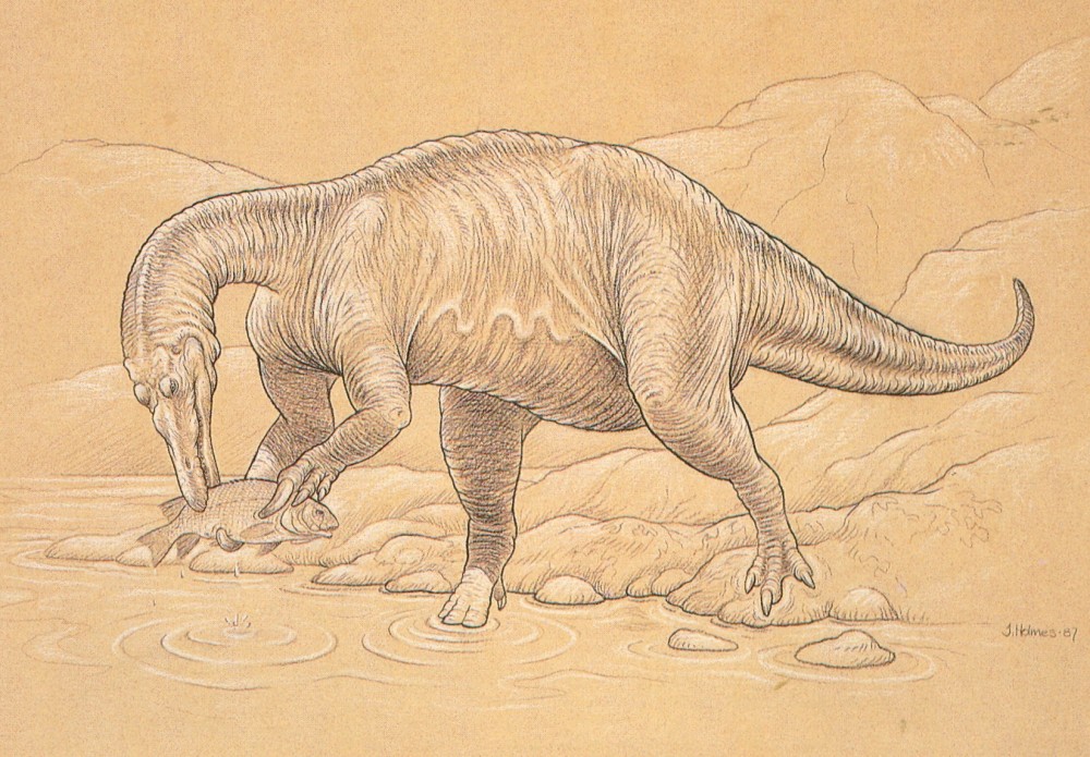 Theropod Dinosaur Claws