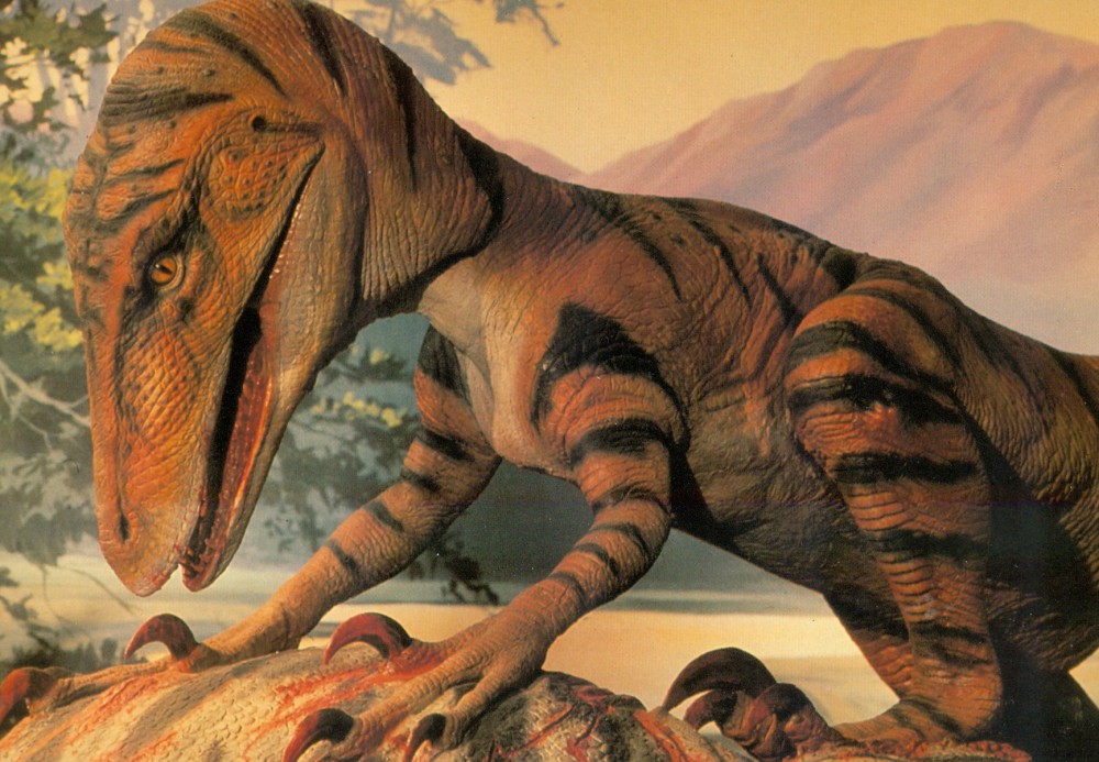 TMC Deinonychus