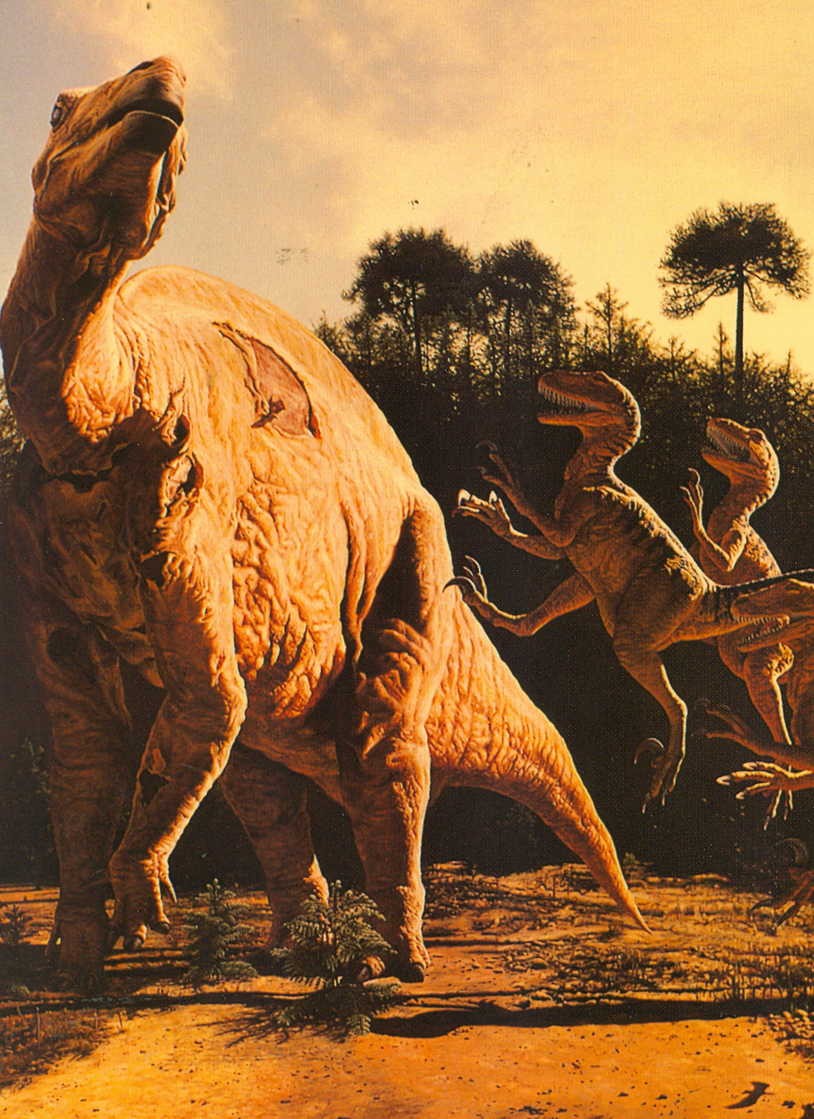Theropod Dinosaur Claws