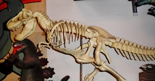 Kaiyodo Tyrannosaurus Skeleton Kit