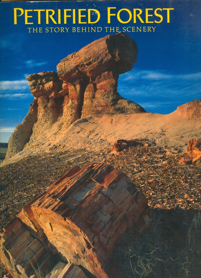 Petrified Forest Collectibles