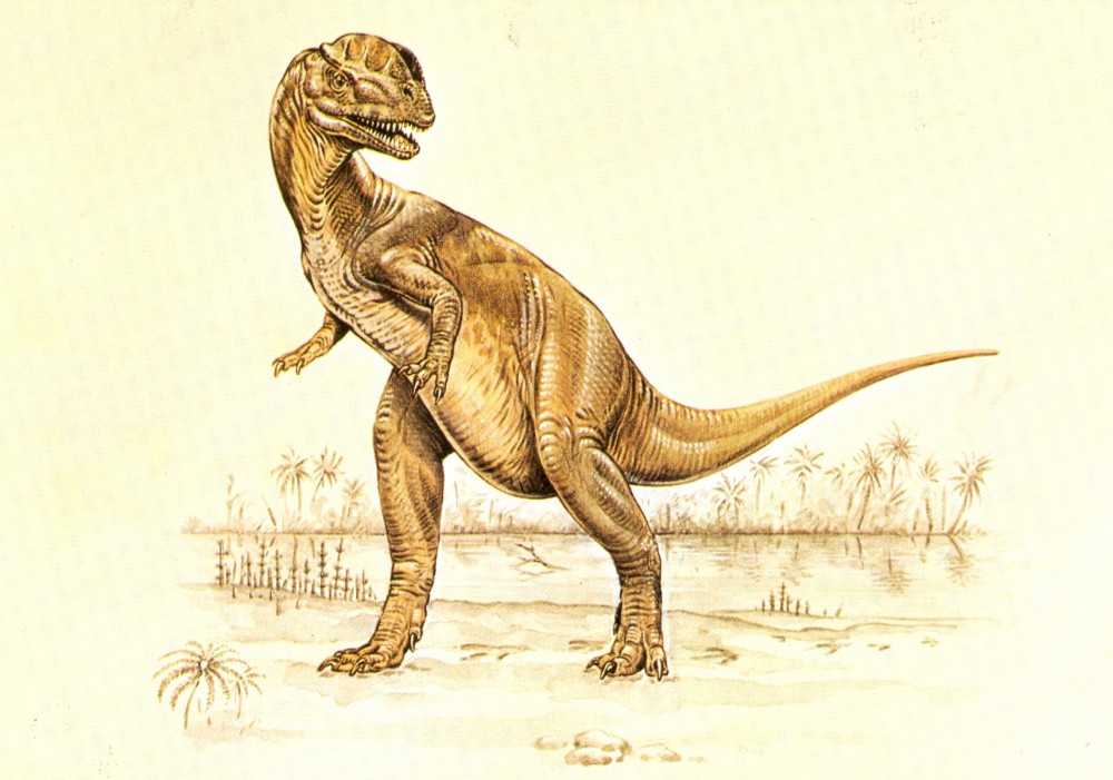 “Dilophosaur” Footprint