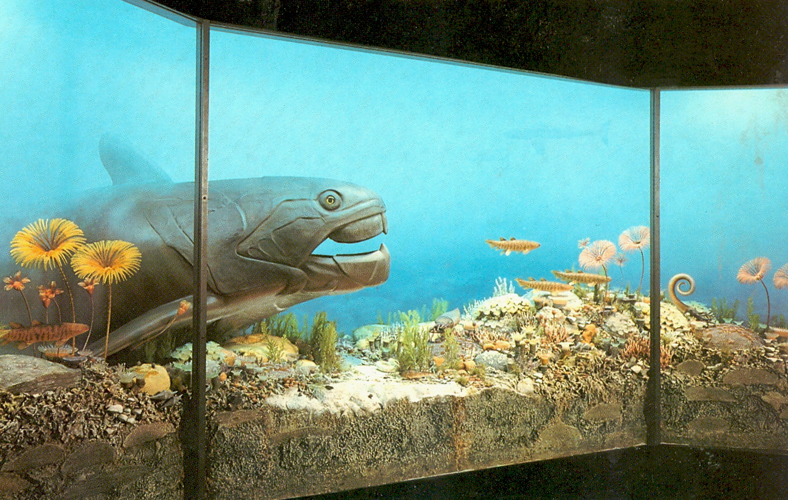 Kaiyodo Dunkleosteus Model