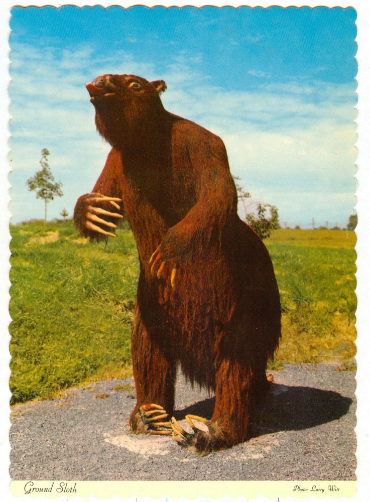 Eremotherium Hand and Foot