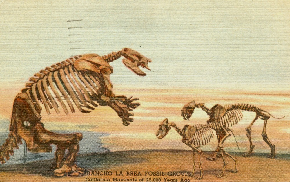 Eremotherium Foot and Hand