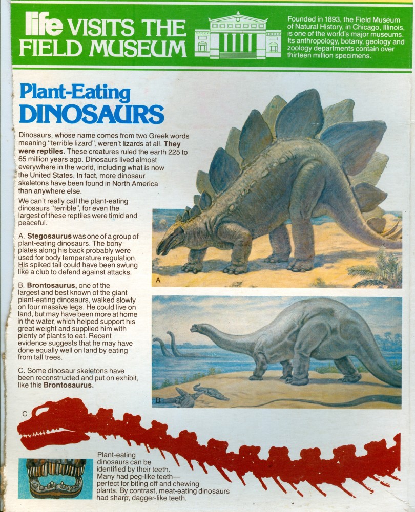 The Field Museum Collectibles