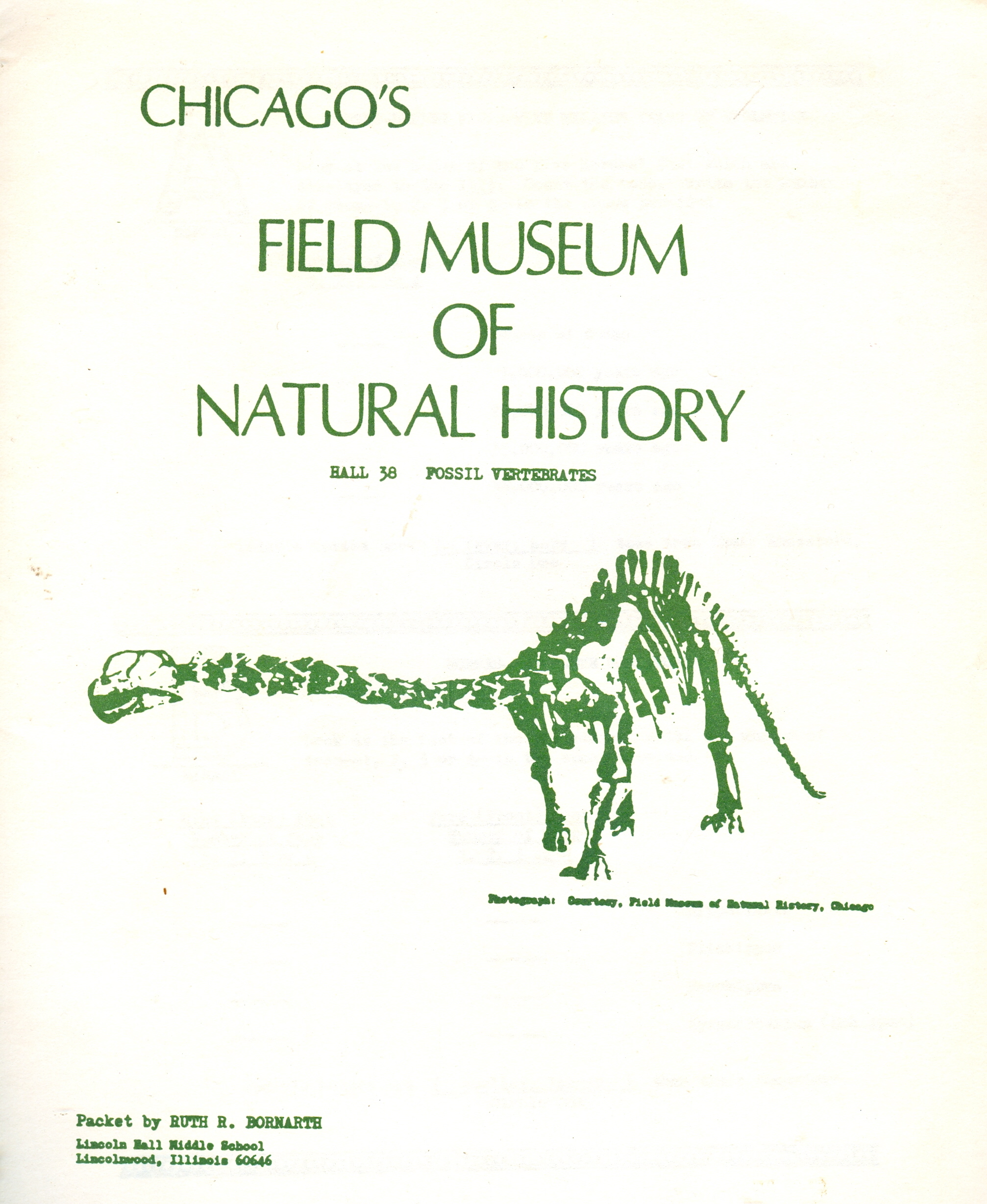 The Field Museum Collectibles